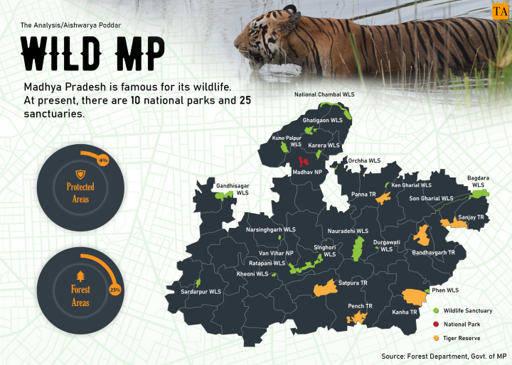 Wildlife in Madhya Pradesh - The Analysis (TA)